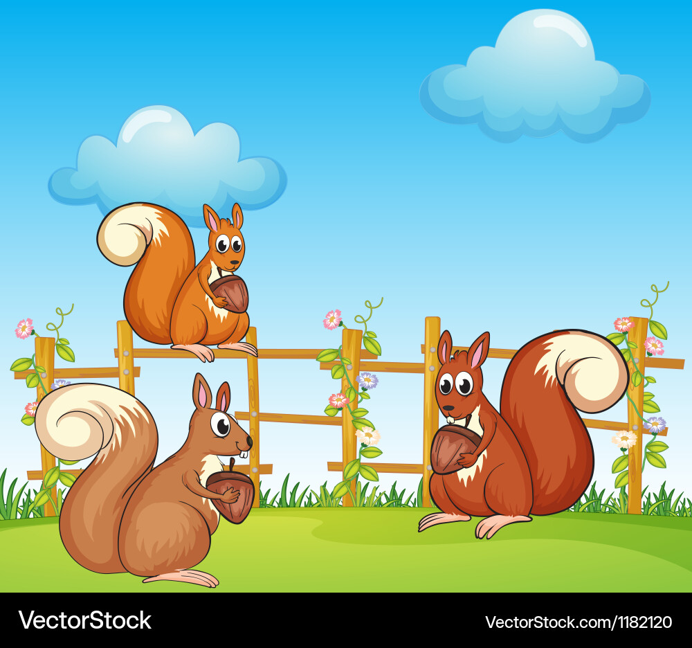 Cartoon squirrels Royalty Free Vector Image - VectorStock