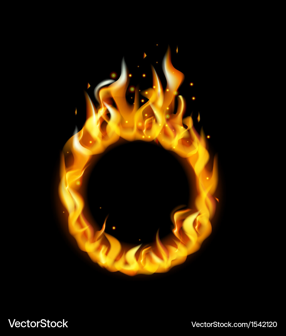 Circular Fire Flame Royalty Free Vector Image - VectorStock