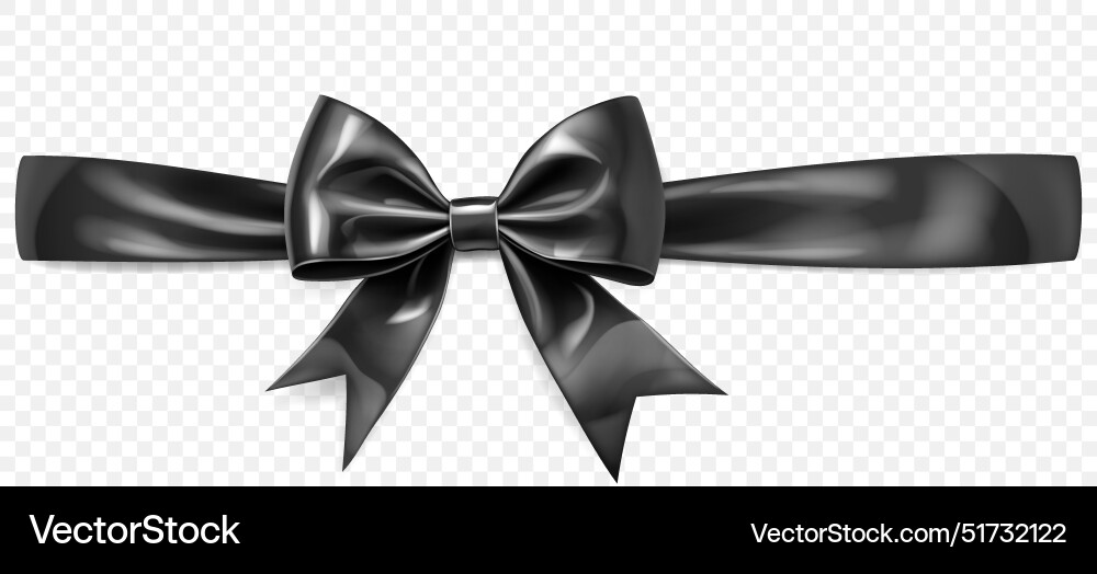Beautiful big shiny bow with horizontal ribbon Vector Image