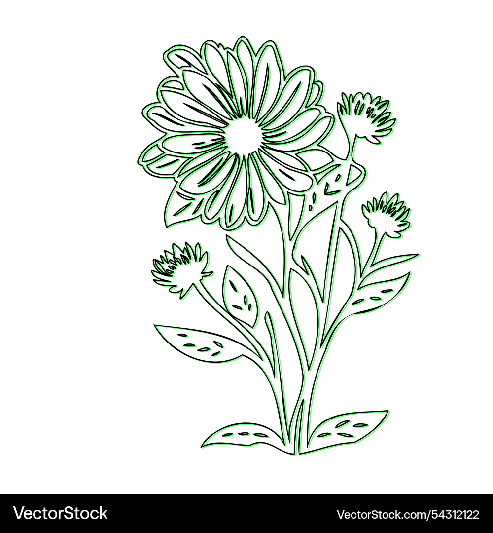 Line art flower drawing simple daisy Royalty Free Vector