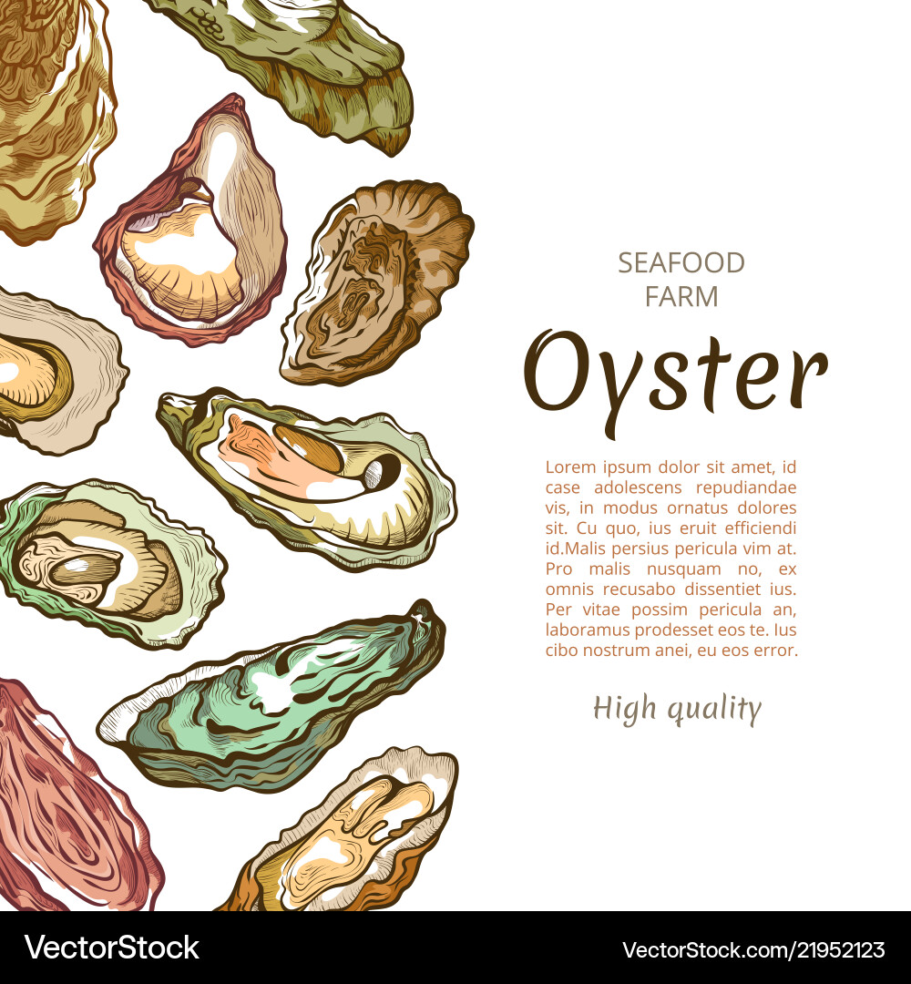 Oyster shell banner seafood farm template Vector Image