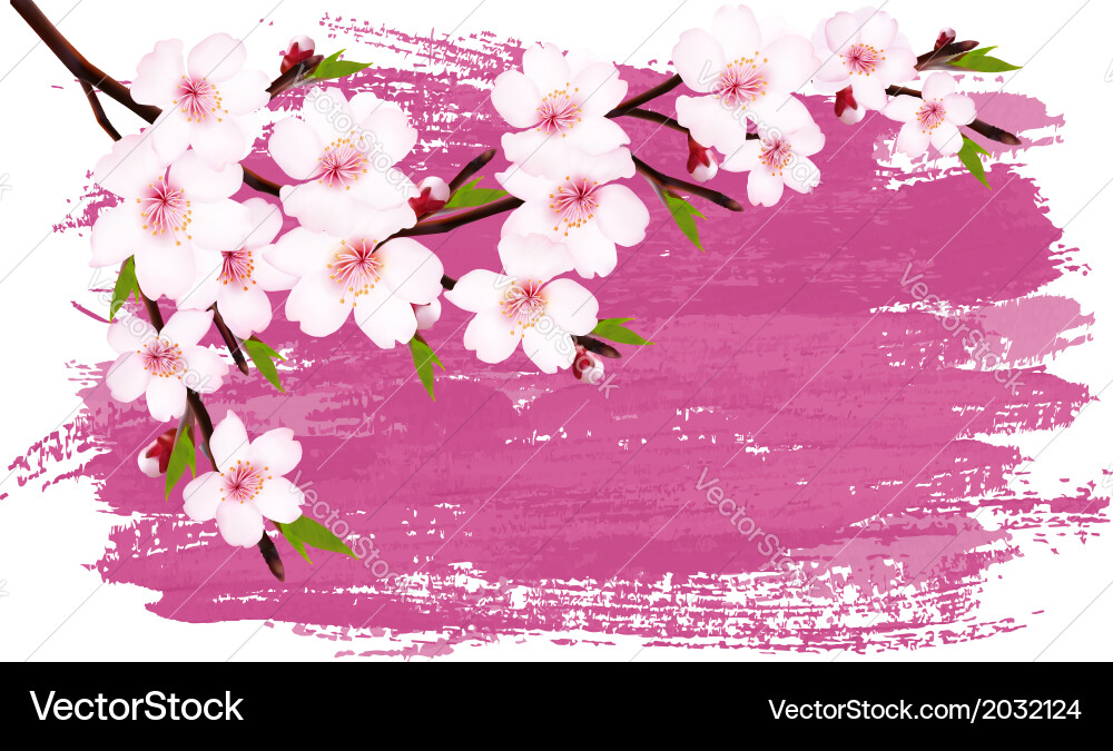 Pink paint sakura branch banner Royalty Free Vector Image