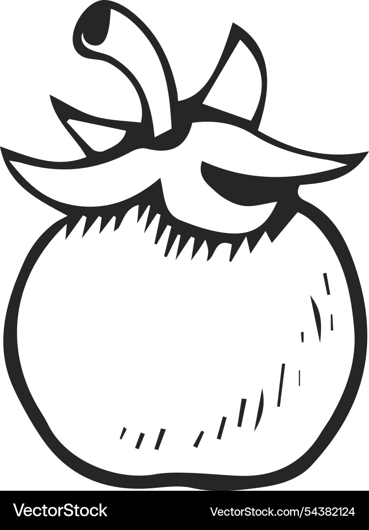 Tomato doodle ripe vegetable drawing cooking Vector Image