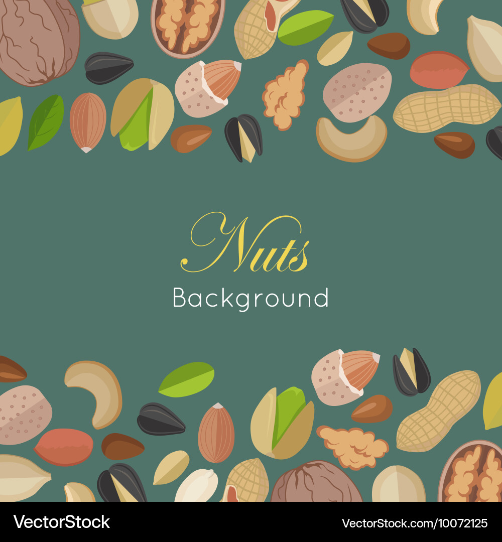 Nut Variety Background Royalty Free Vector Image