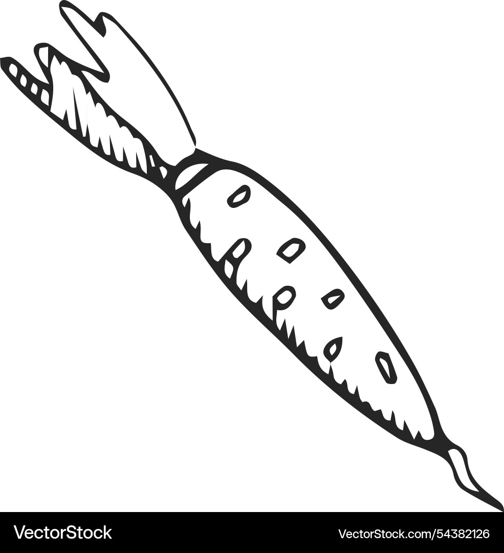 Carrot icon natural root vegetable line drawing Vector Image