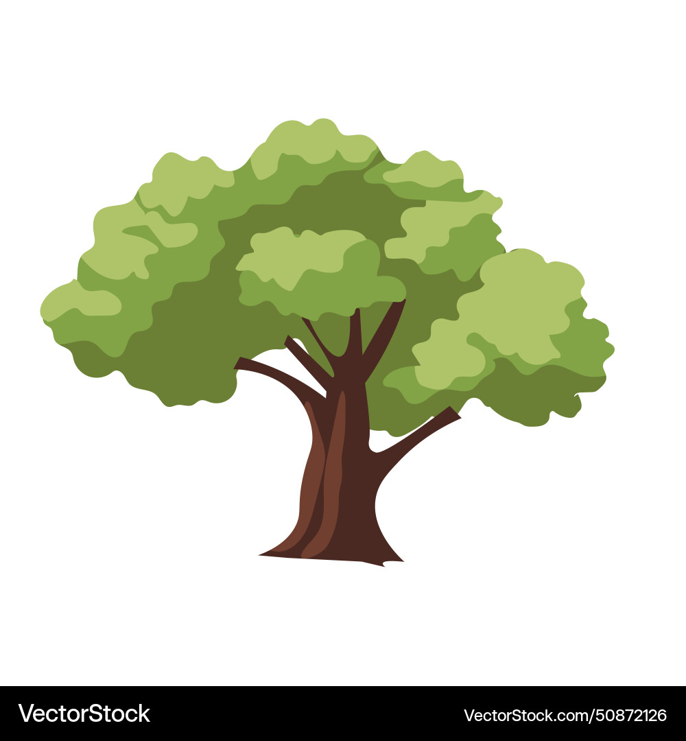 Cartoon tree with green leaves Royalty Free Vector Image