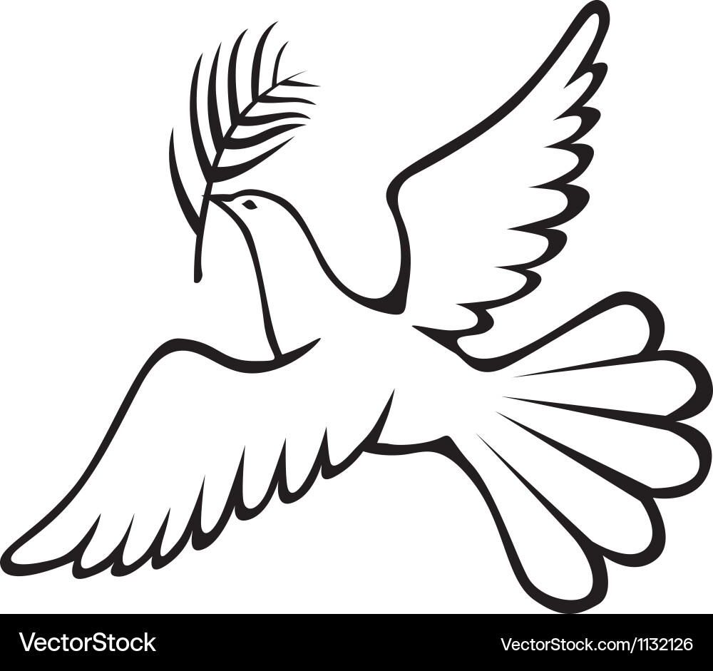 Dove with branch Royalty Free Vector Image - VectorStock