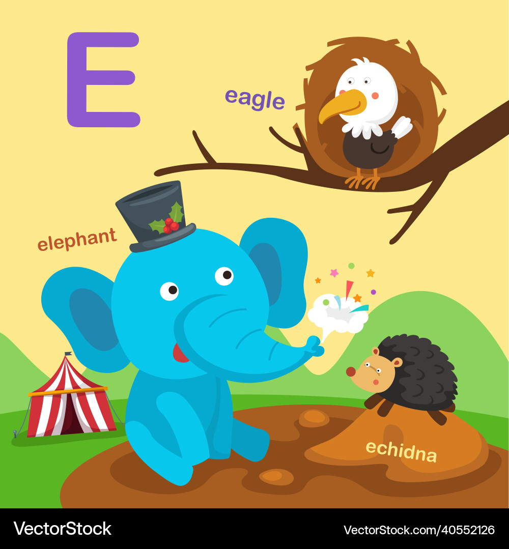 Isolated alphabet letter e-eagleechidnaelephant Vector Image