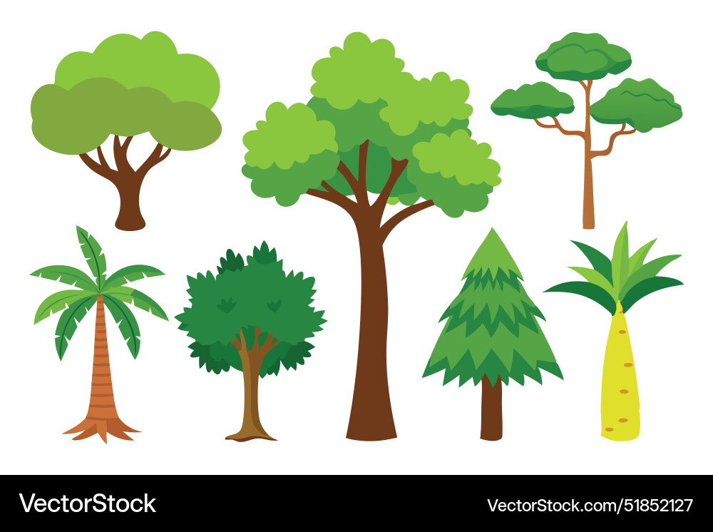 Best rainforest tree flat set Royalty Free Vector Image
