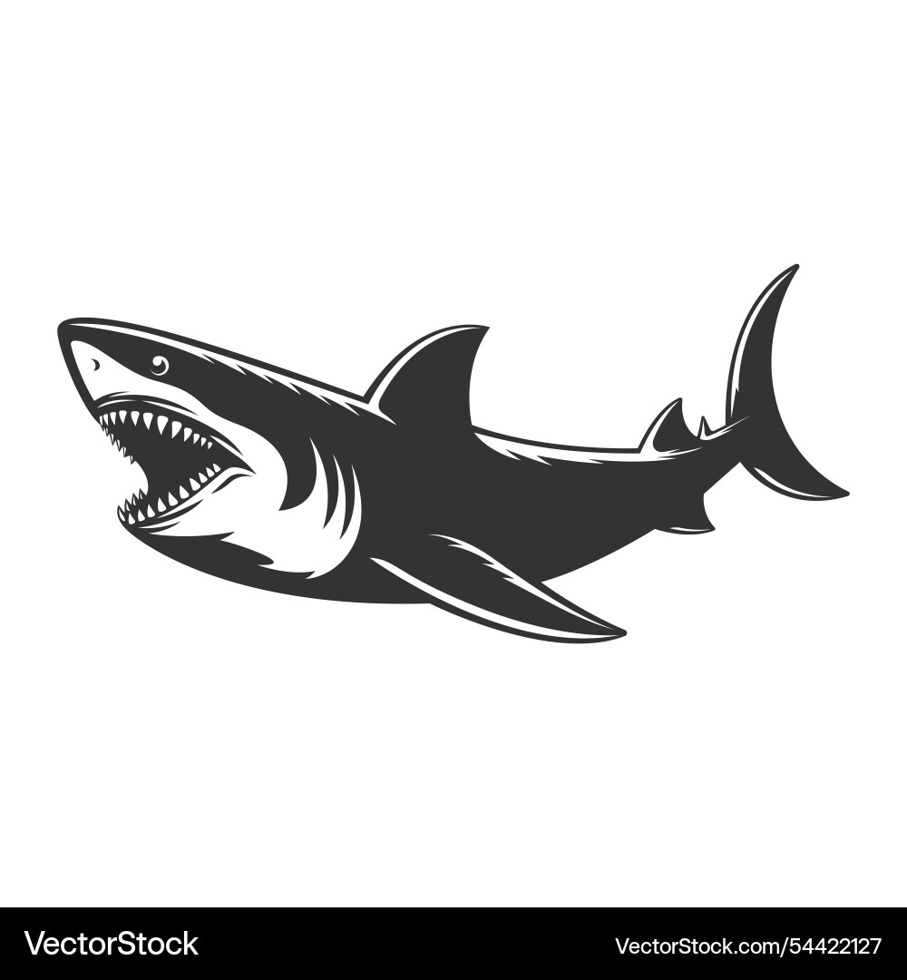 Black and white shark design Royalty Free Vector Image