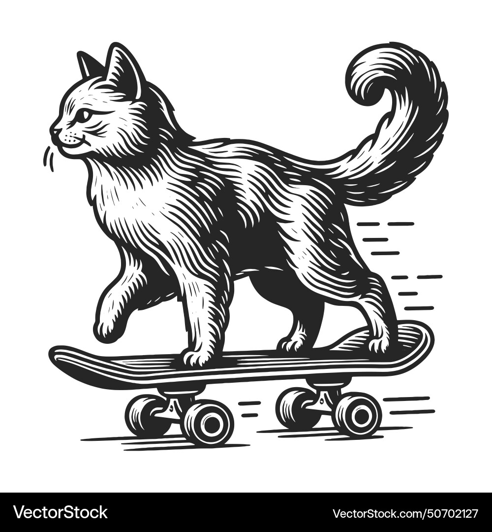Cartoon cat riding skateboard sketch Royalty Free Vector