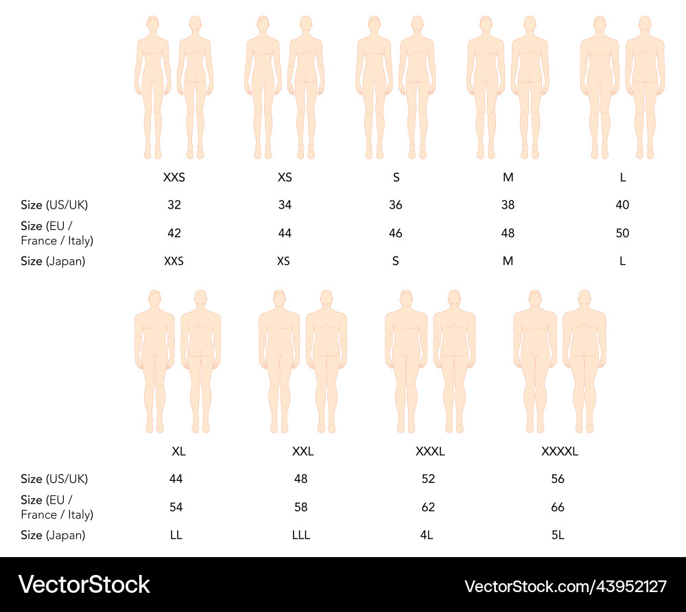 Set of men xxs xs s m l xl xxl xxxl xxxxl sizes Vector Image