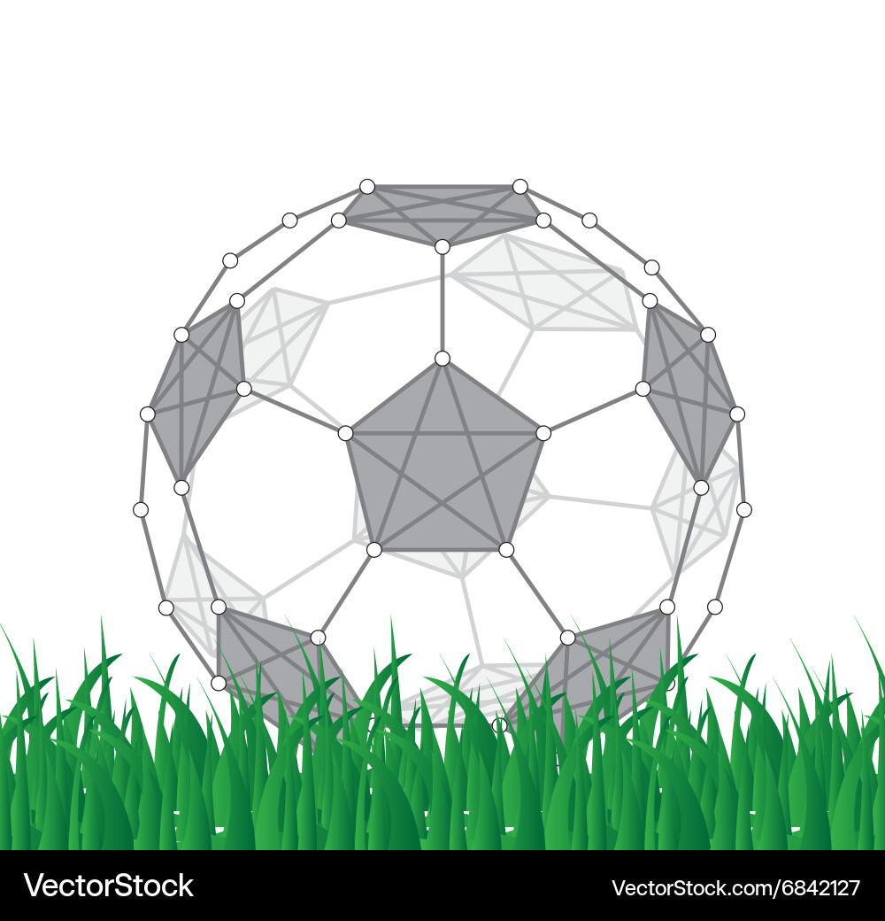 Soccer ball Royalty Free Vector Image - VectorStock