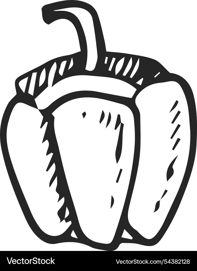 Bell pepper doodle fresh vegetable cooking Vector Image