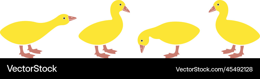 Gosling Royalty Free Vector Image - VectorStock