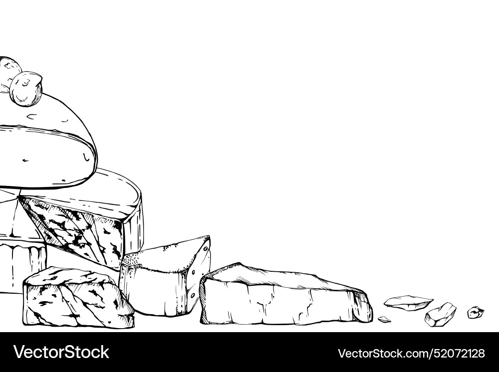 Hand drawn ink assortment cheese mozzarella Vector Image