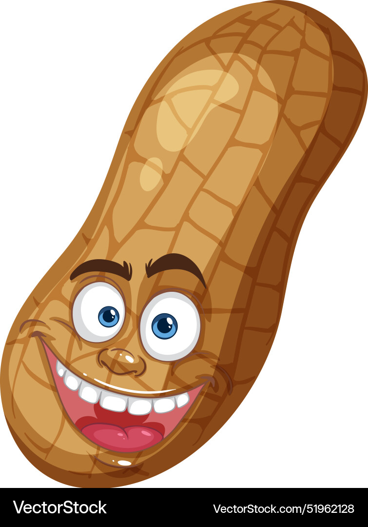 Smiling peanut with expressive eyes and mouth Vector Image