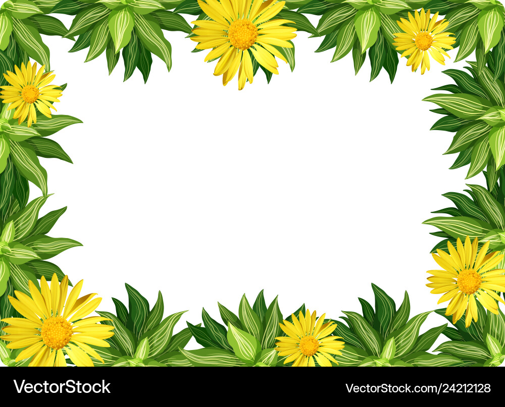 Yellow Flower Borders