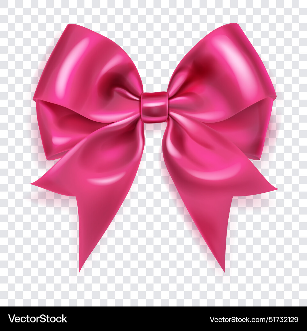 Large beautiful bow Royalty Free Vector Image - VectorStock