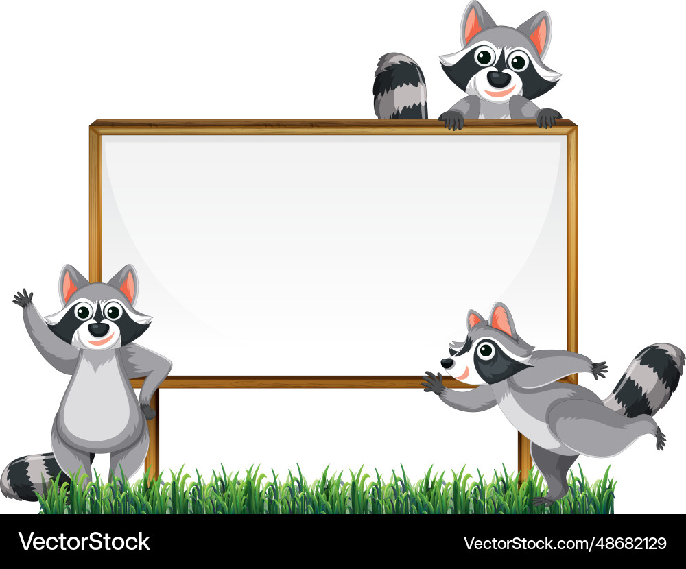 Raccoons around wooden frame a cartoon Royalty Free Vector