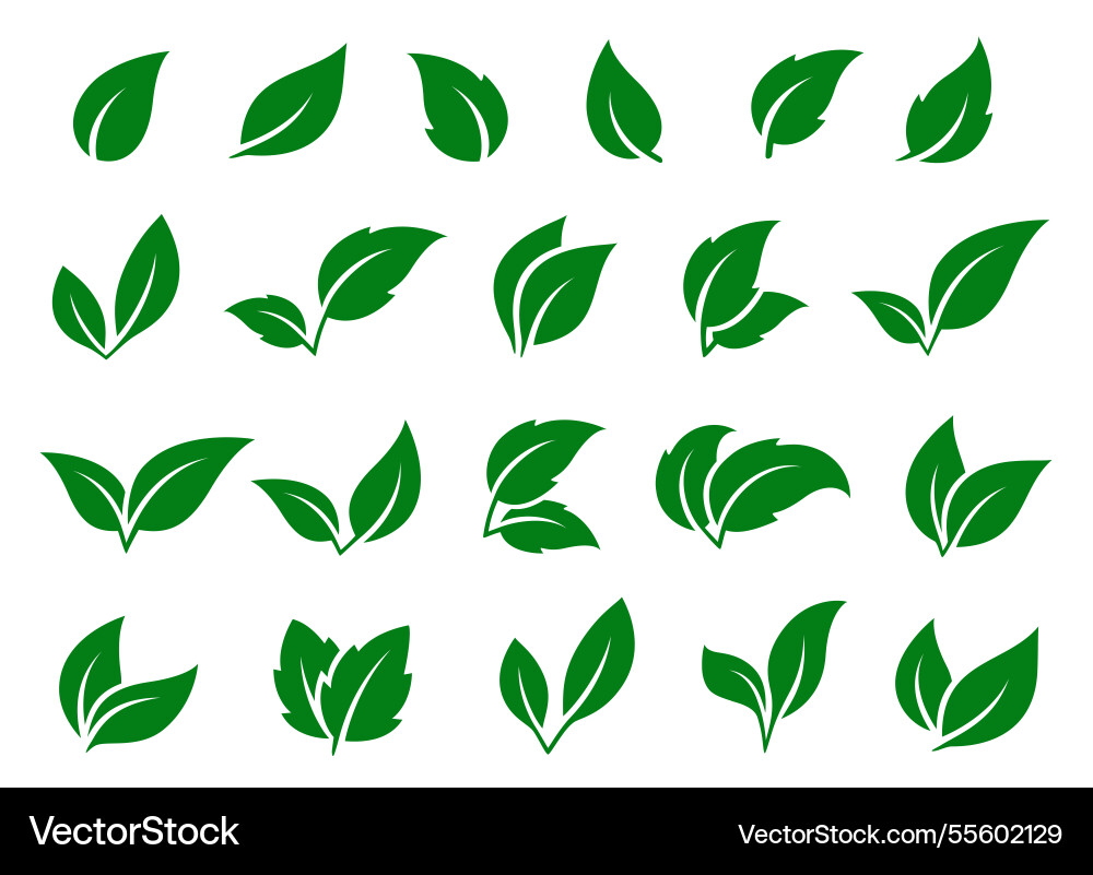 Set green leaves icons with branches and twigs Vector Image