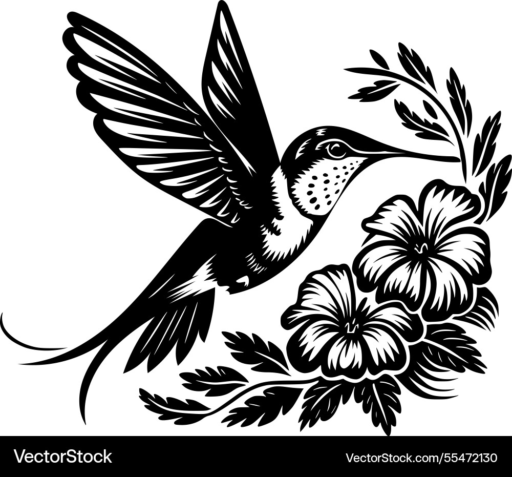 Hummingbird svg Royalty Free Vector Image - VectorStock