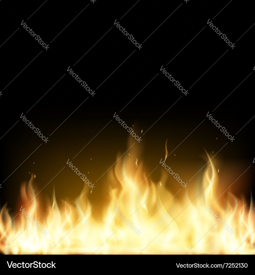 Barbecue Wallpaper Vector Images (over 1,500)