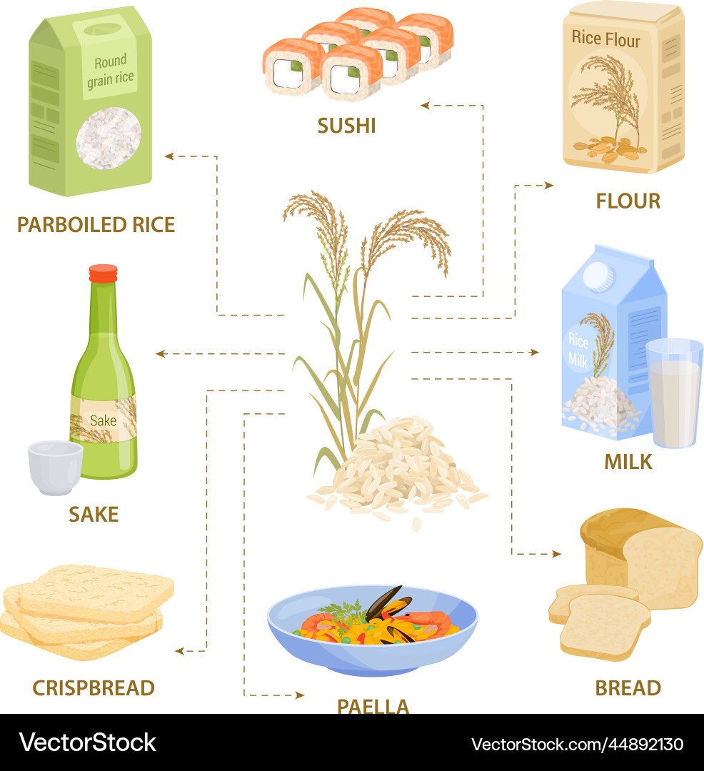 Rice products flat infographics Royalty Free Vector Image