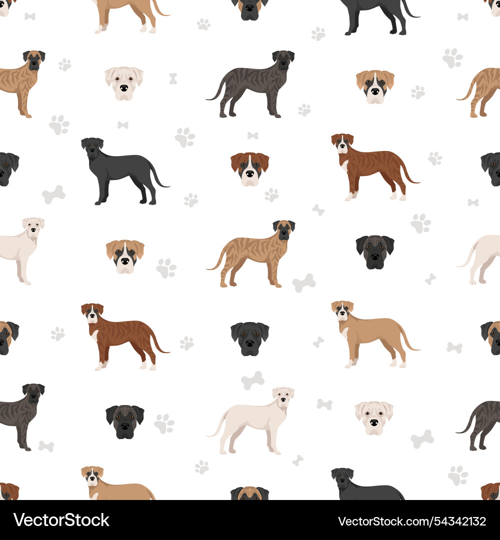 Boxane seamless pattern boxer dog great dane mix Vector Image