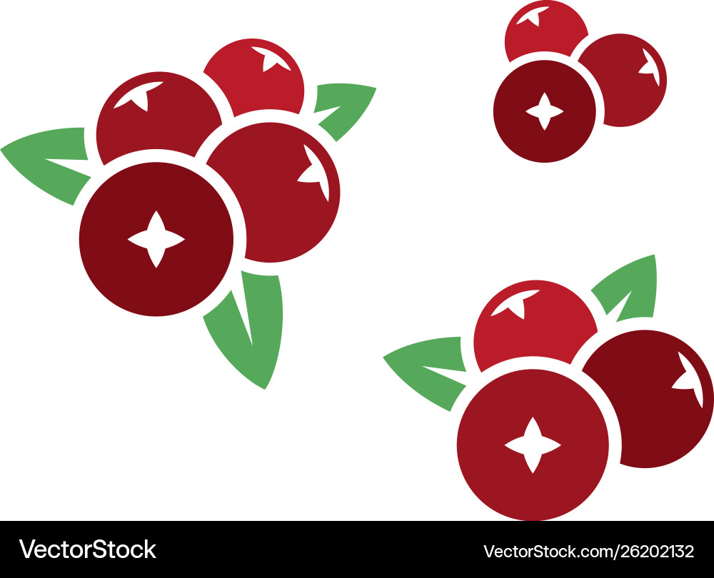 Cranberry Royalty Free Vector Image - VectorStock