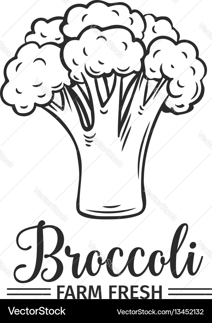 Hand drawn broccoli icon Royalty Free Vector Image