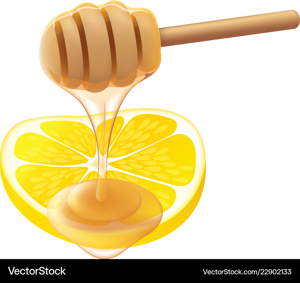 Honey lemon Royalty Free Vector Image - VectorStock