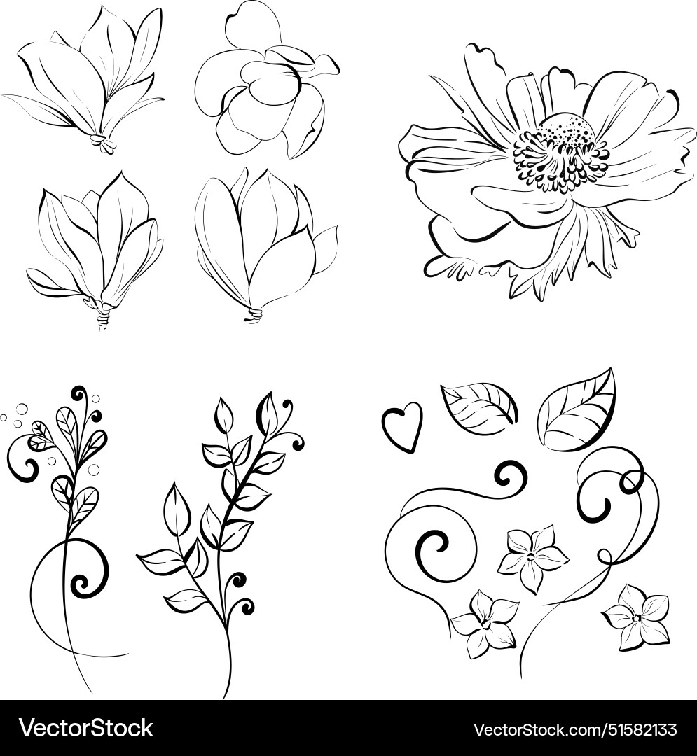 Magnolia and anemone pattern spring Royalty Free Vector