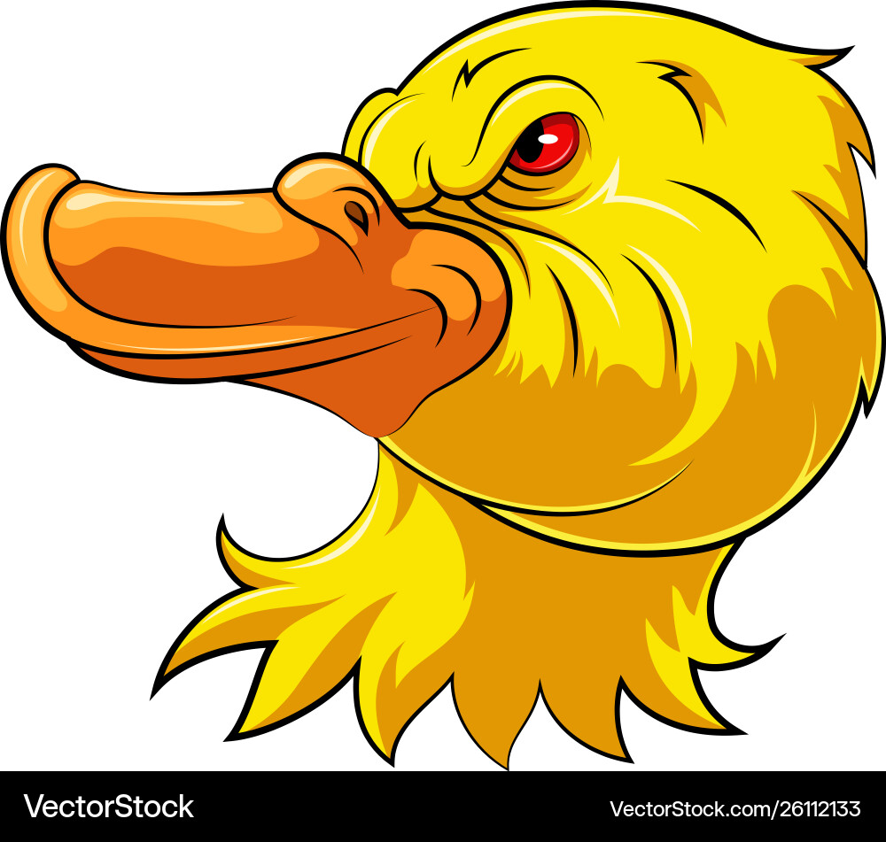 Mascot head an angry duck Royalty Free Vector Image