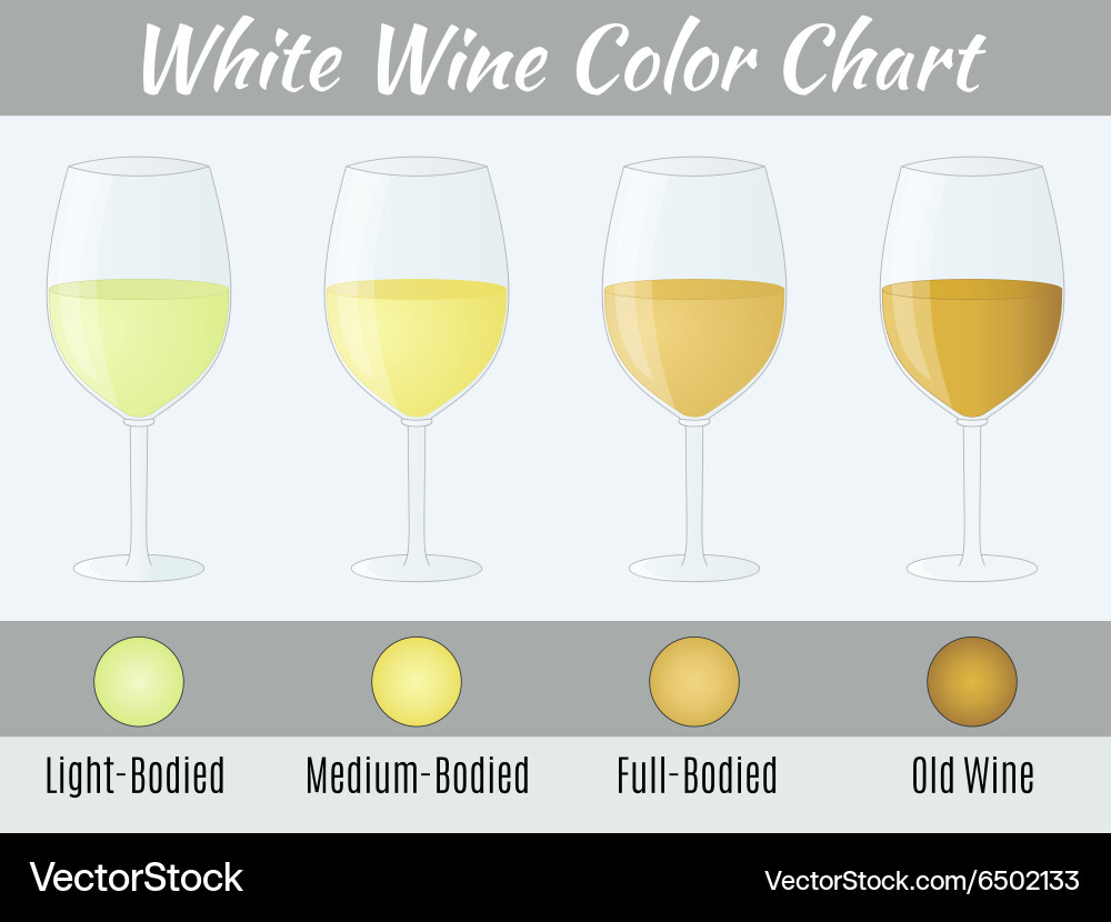 White wine color chart Royalty Free Vector Image