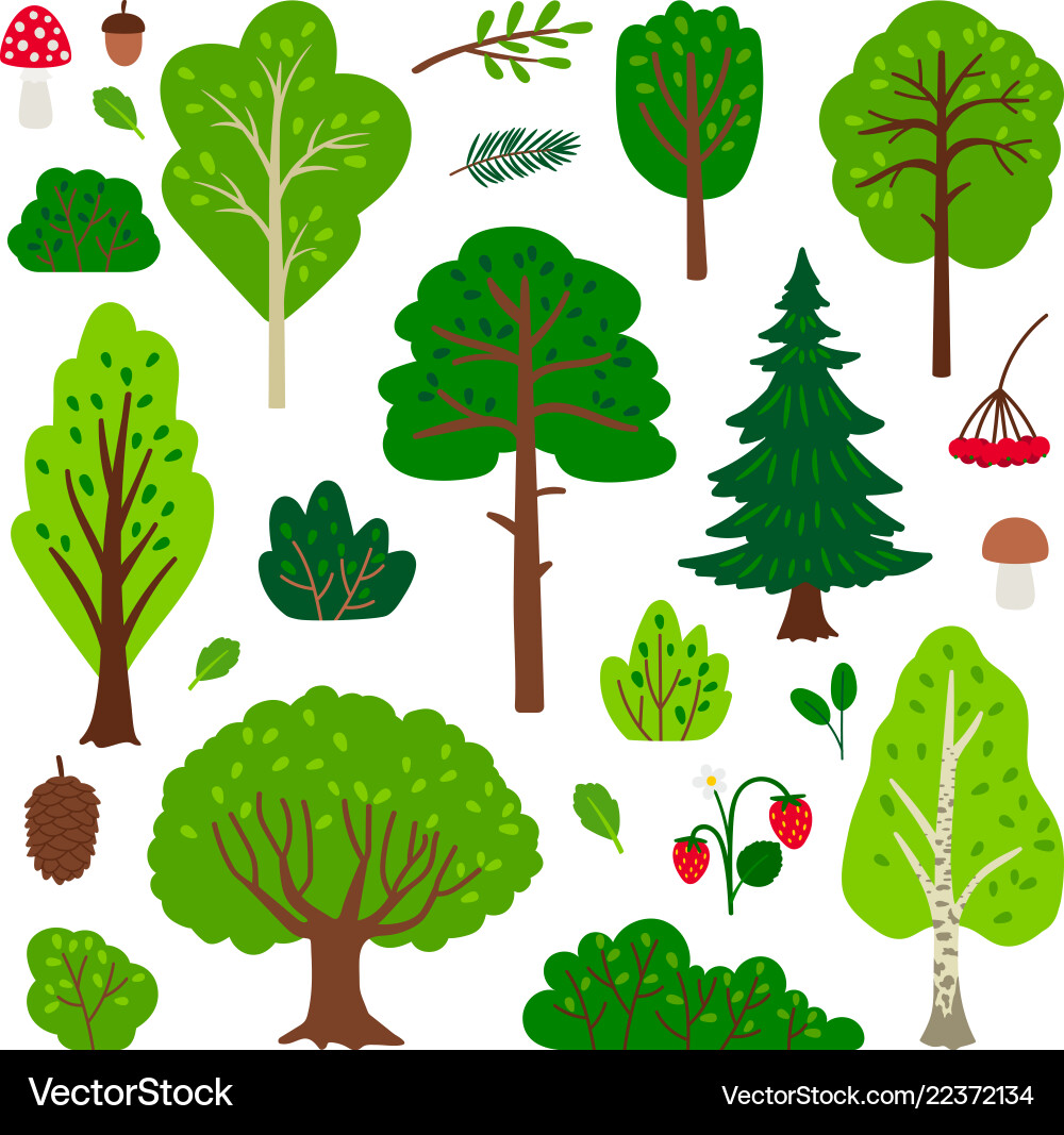 Cartoon forest tree set Royalty Free Vector Image