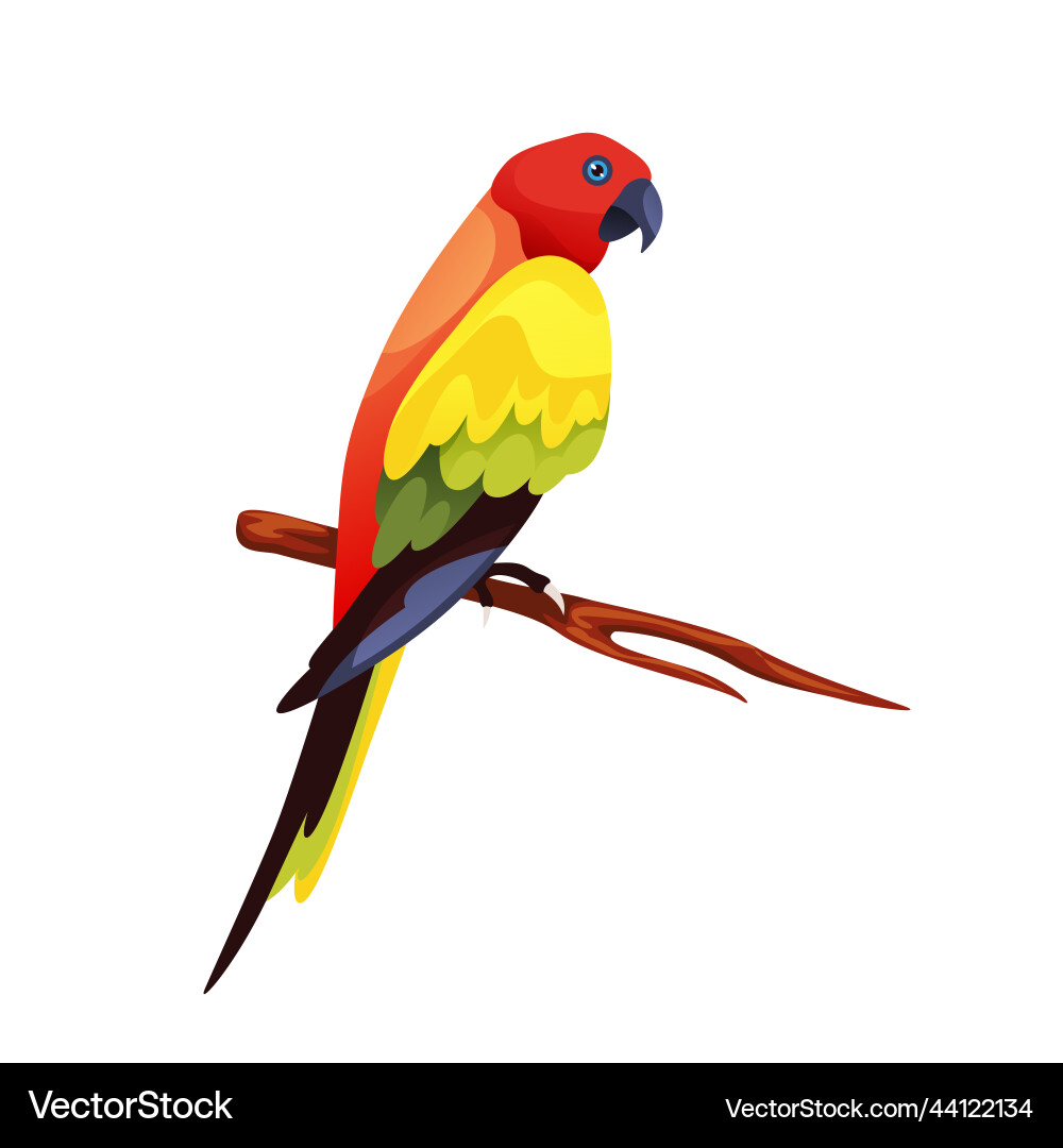 Chattering lory parrot icon or clipart Royalty Free Vector