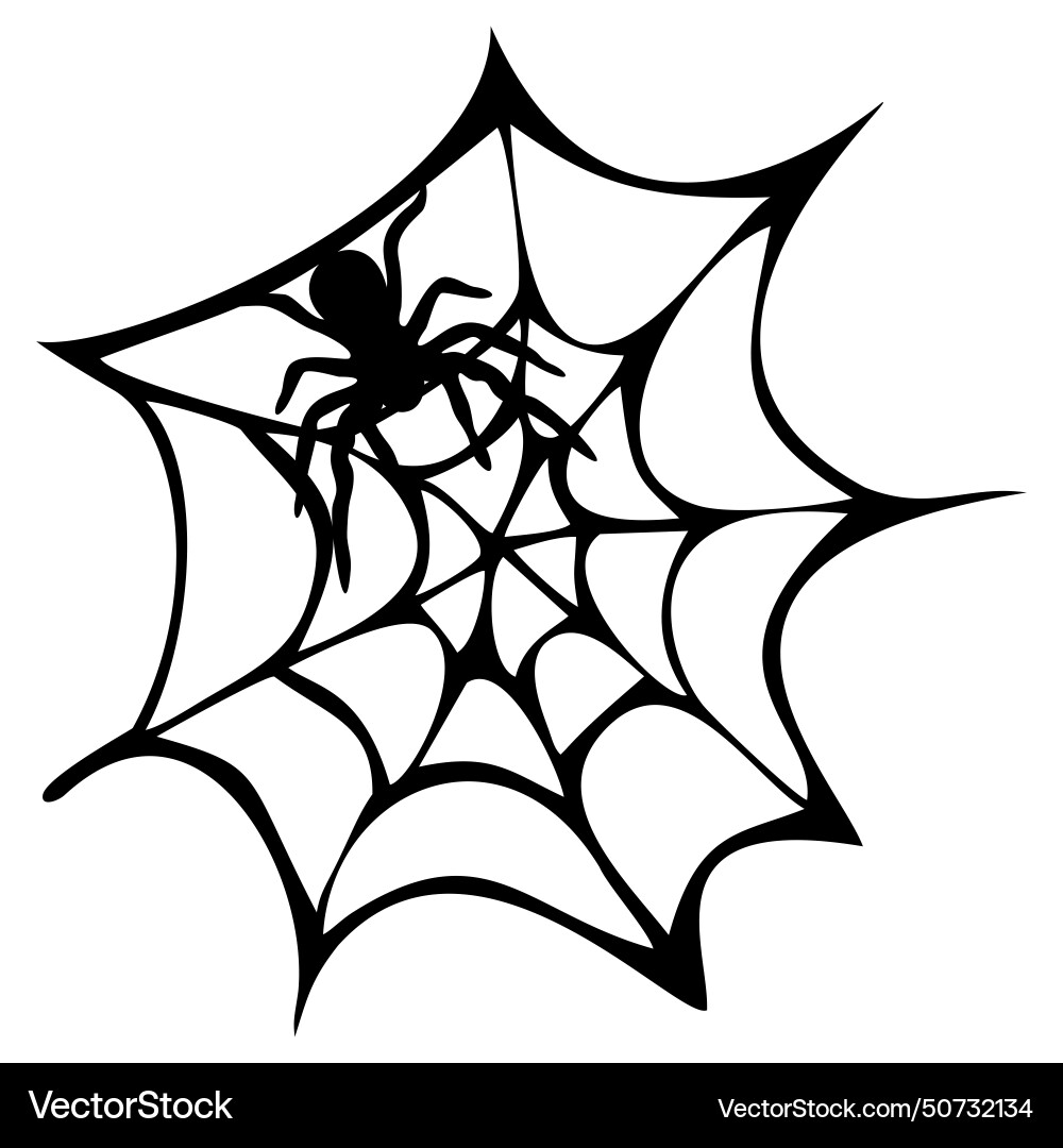 Spider weaves a web Royalty Free Vector Image - VectorStock