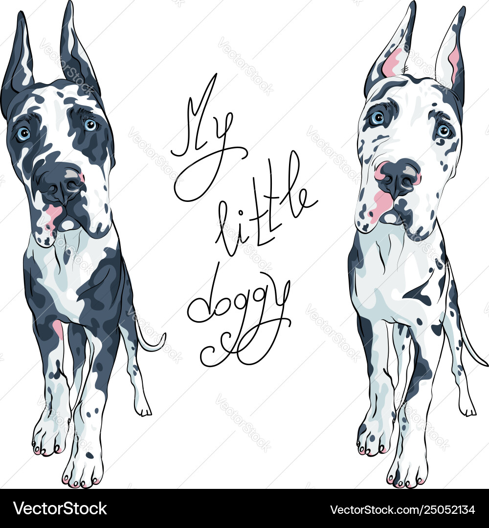 Dog Sketch Great Dane Drawing Vector Images (over 180)
