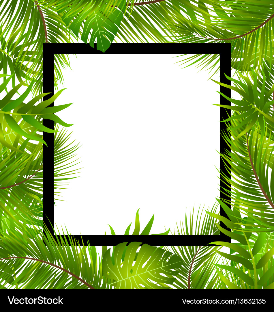 Beautiful border with tropical palm leaves Vector Image
