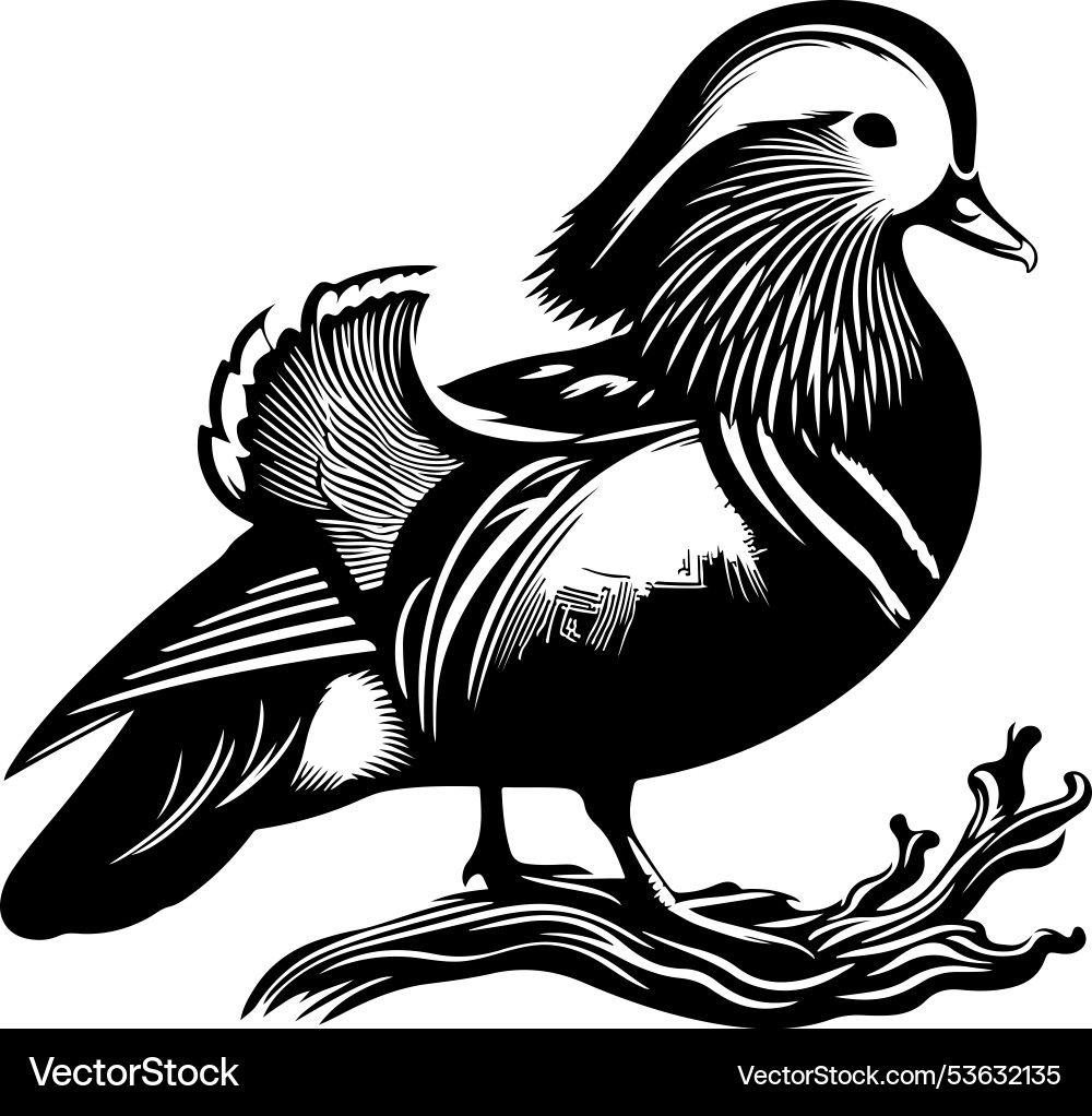 Duck pinup pop art retro Royalty Free Vector Image