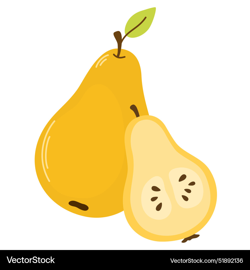 2097 pear Royalty Free Vector Image - VectorStock