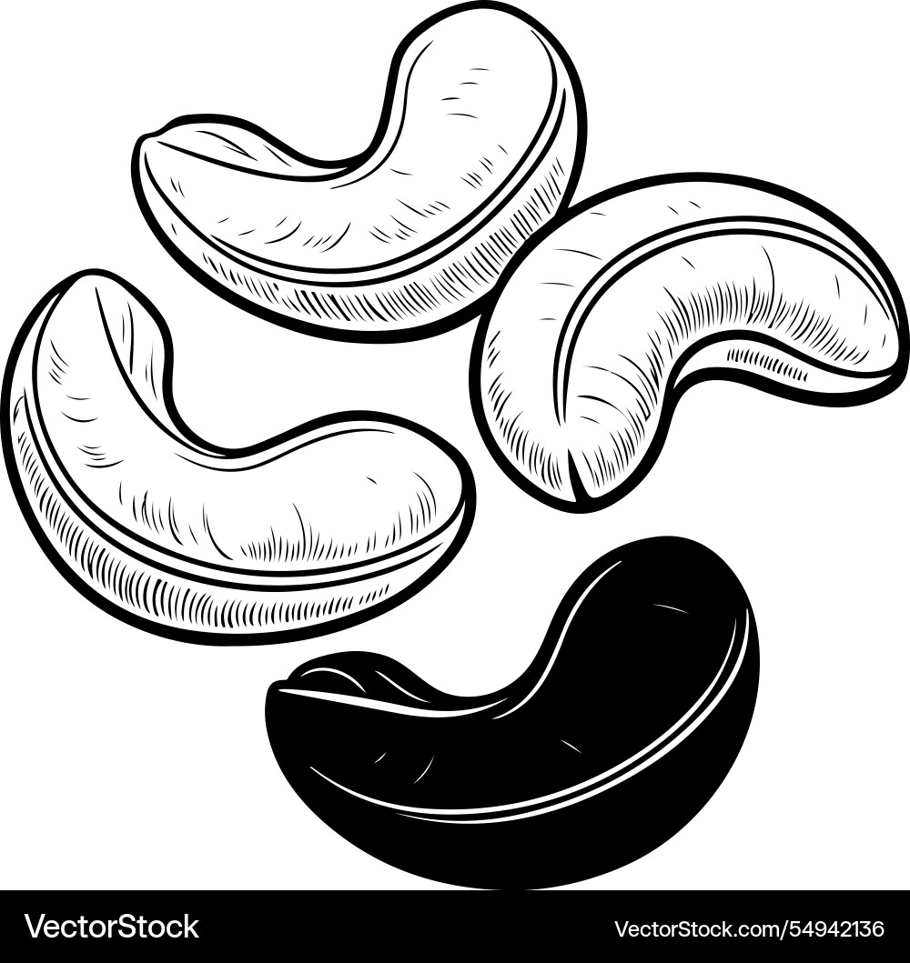 Cashew nut silhouette design Royalty Free Vector Image