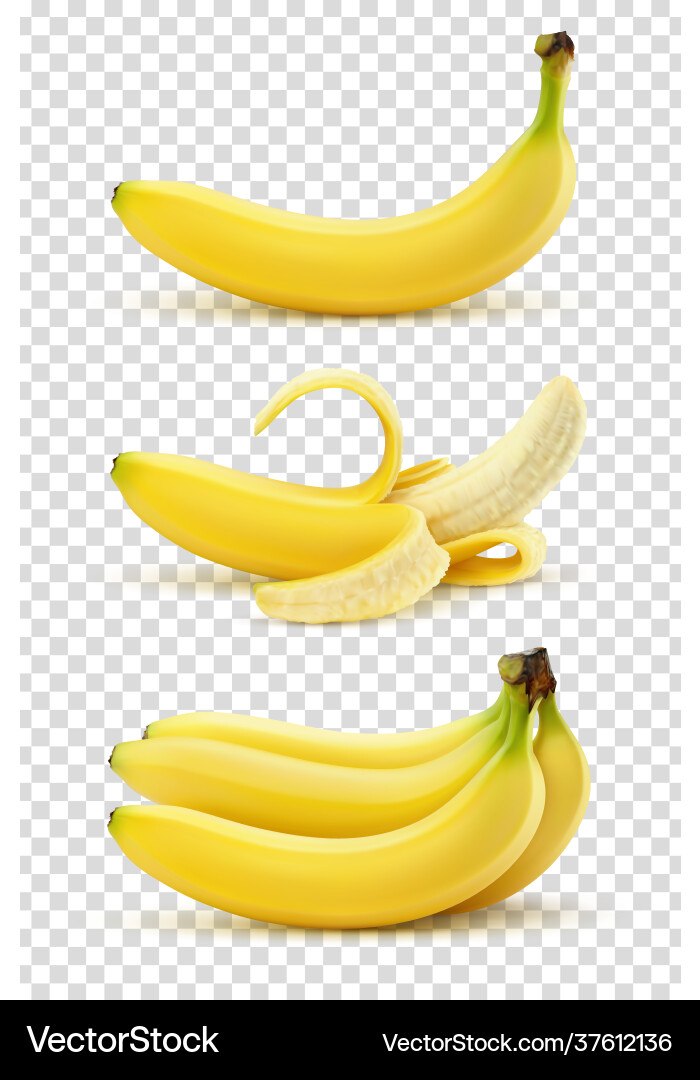 Realistic bananas Royalty Free Vector Image - VectorStock