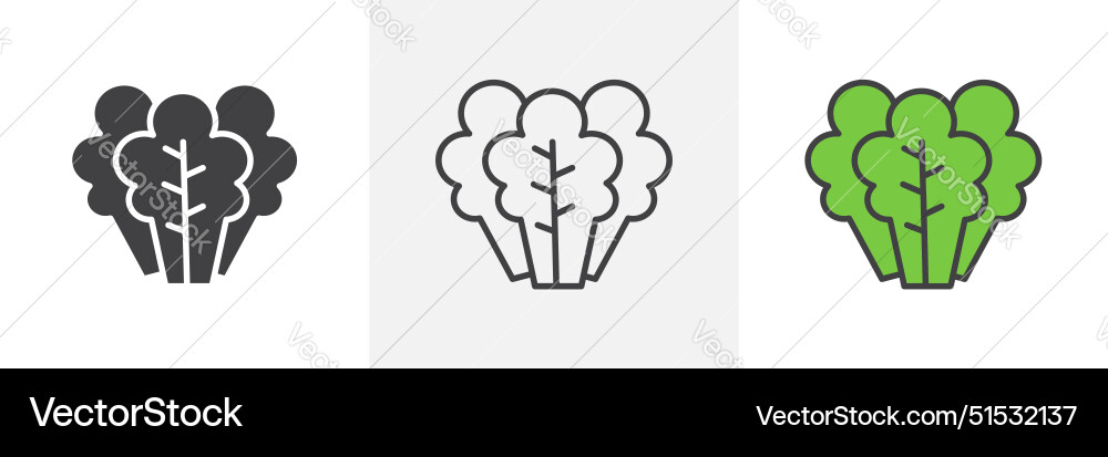 Lettuce icon set cabbage vegetable plant symbol Vector Image