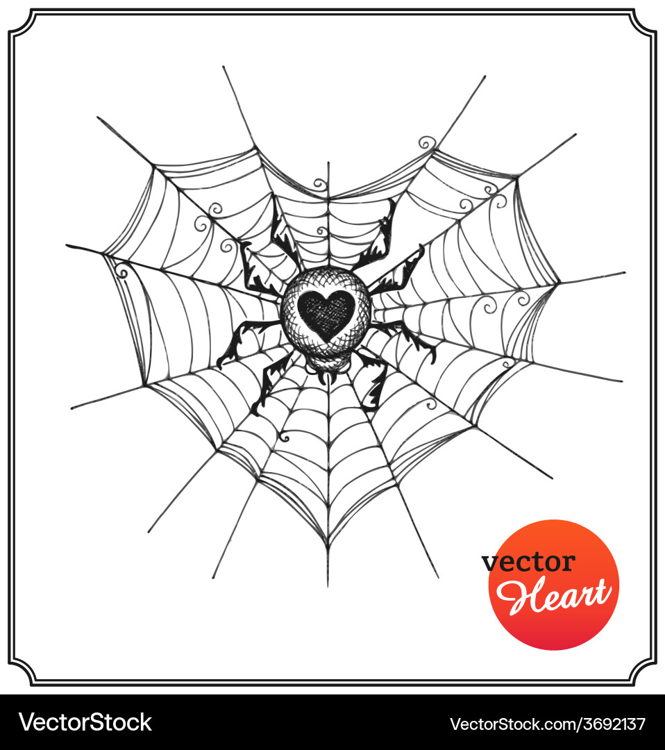Spider and web in form of heart Royalty Free Vector Image