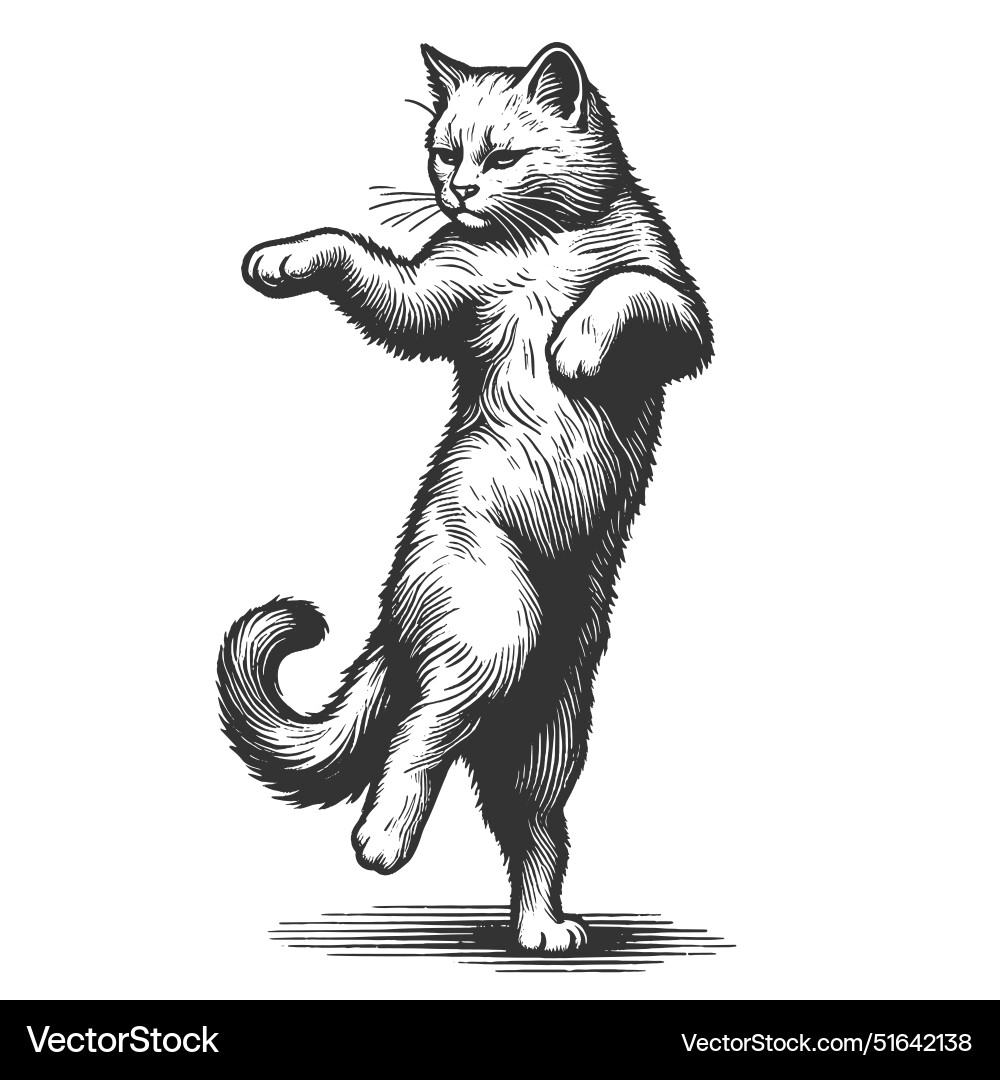 Cat dancing joyfully engraving Royalty Free Vector Image
