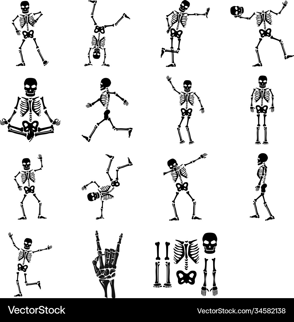 Funny Skeleton Silhouettes Royalty Free Vector Image