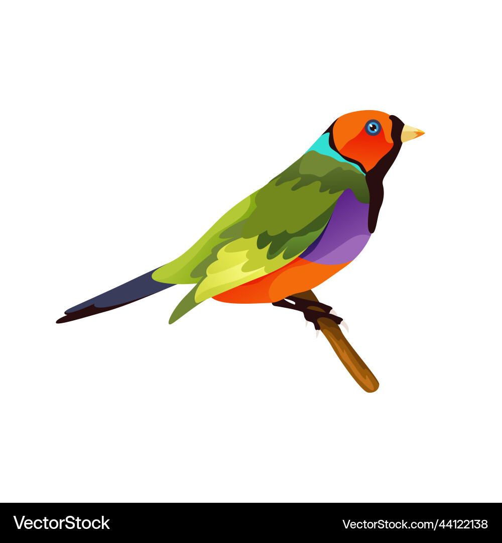Gouldian or rainbow finch bird icon Royalty Free Vector
