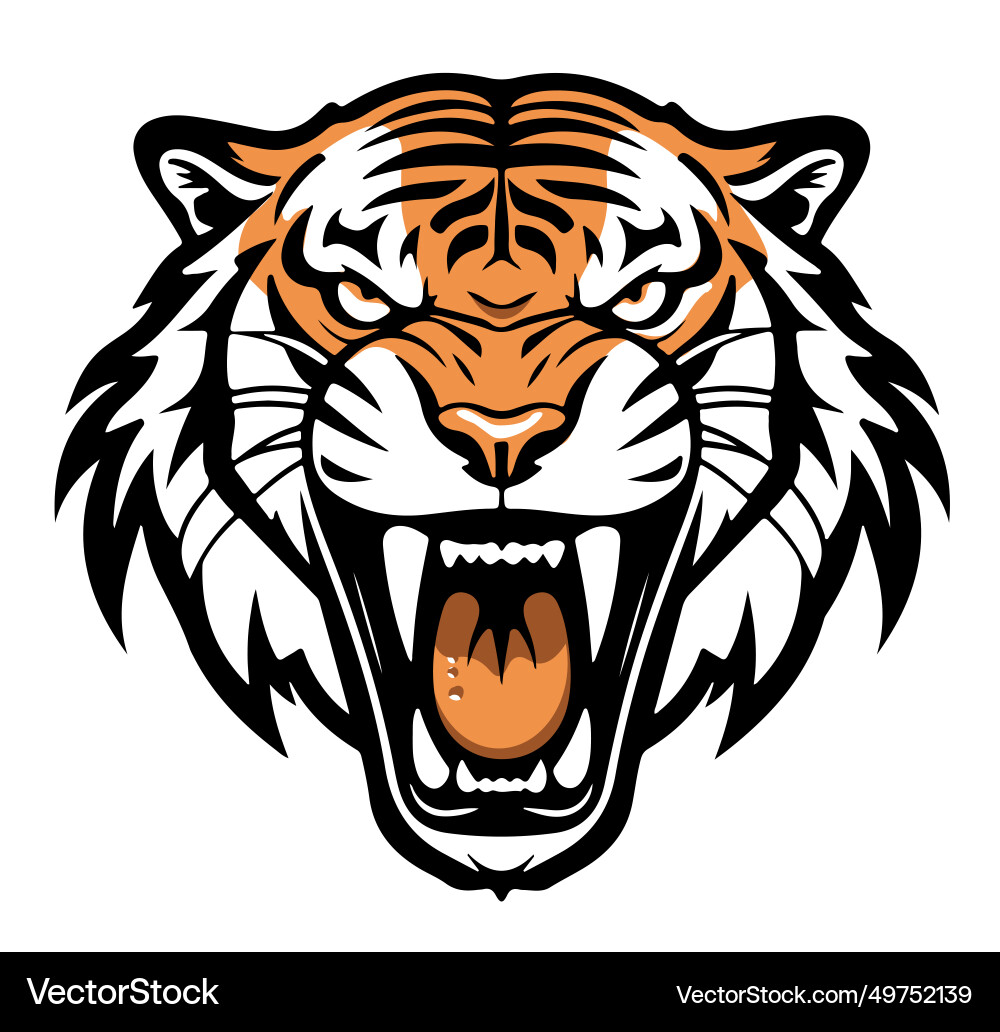 Angry tiger growling sketch Royalty Free Vector Image